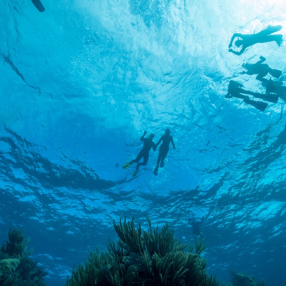 Public participation platform of The Government of Bermuda | CitizenLab